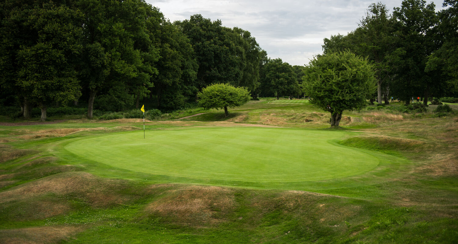 Home [www.berkhamstedgolfclub.co.uk]